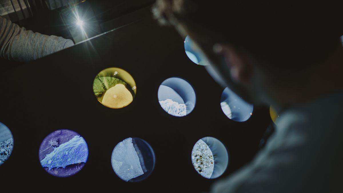 LUFT | Sonderausstellung im DHMD